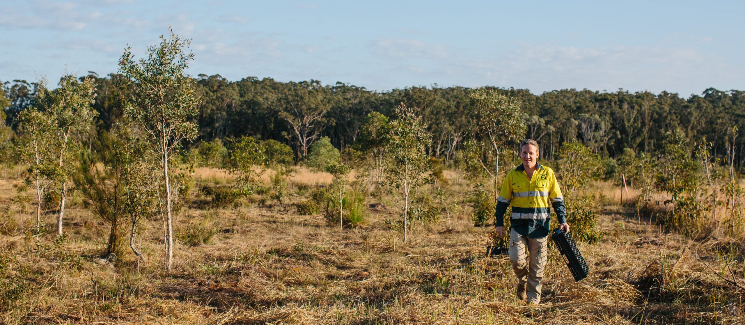 Program and Projects – Noosa Landcare