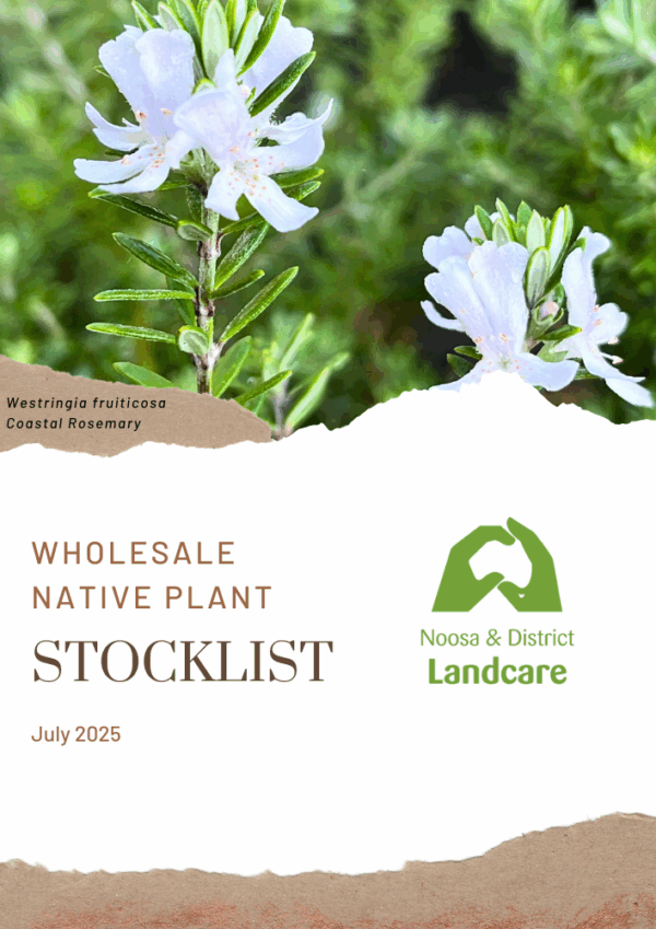 Native Plant Nursery - Noosa Landcare