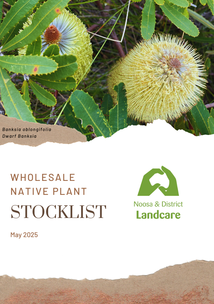 Native Plant Nursery - Noosa Landcare
