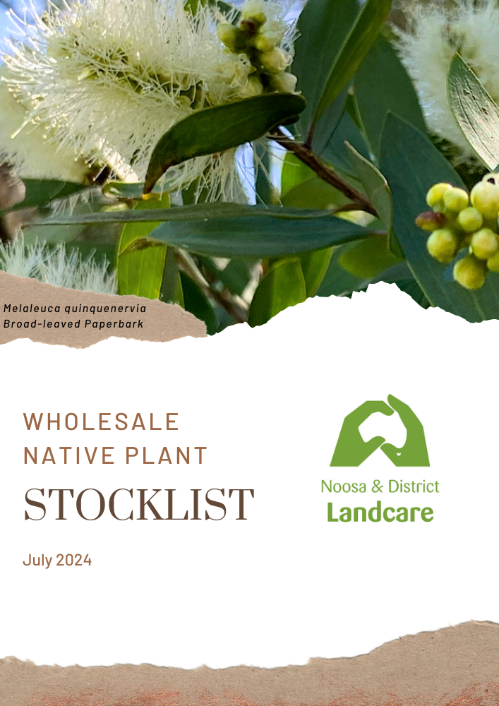 Native Nursery - Noosa Landcare