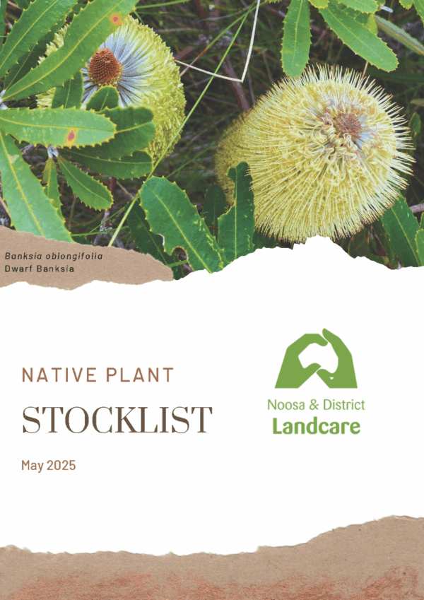 Native Plant Nursery - Noosa Landcare