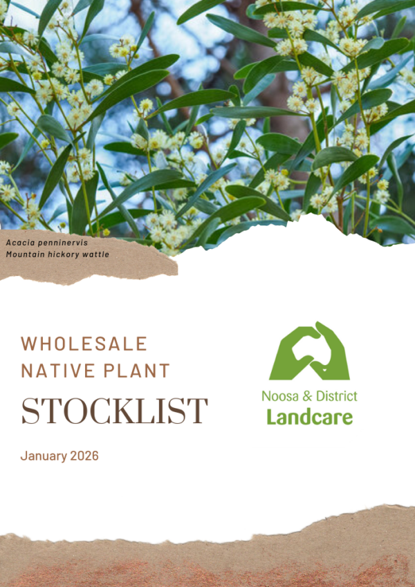 Native Plant Nursery - Noosa Landcare
